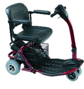 Health Management and Leadership Portal | 4-wheel electric scooter ...