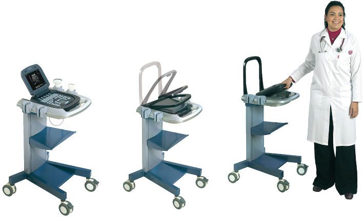 Health Management and Leadership Portal | Veterinary ultrasound system ...