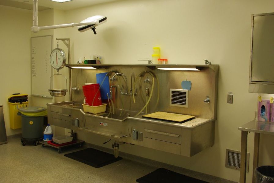 Health Management and Leadership Portal | Autopsy sink / wall-mount / 2 ...