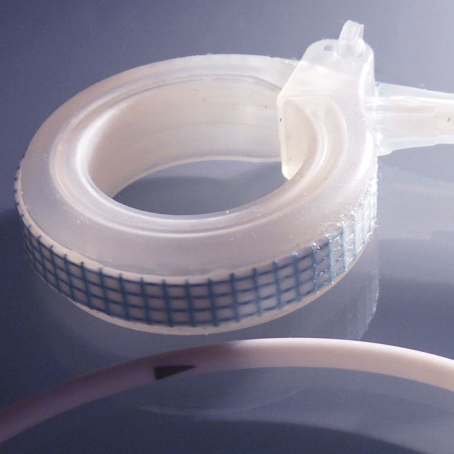 Health Management and Leadership Portal | Abdominal hernia prosthesis ...