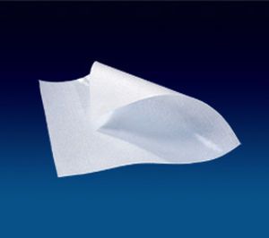 Health Management and Leadership Portal | Abdominal hernia prosthesis ...