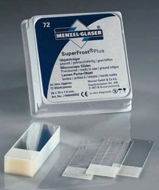 Health Management and Leadership Portal | Staining tank with support ...