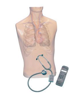 Health Management and Leadership Portal | Auscultation patient ...