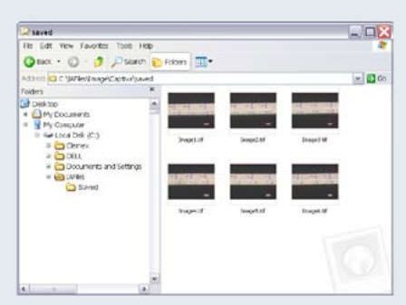 Health Management and Leadership Portal | Archiving software / viewing ...