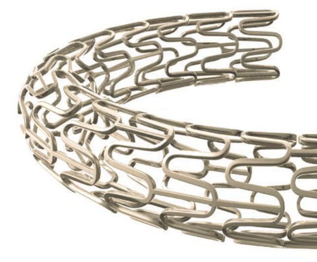 Health Management and Leadership Portal | Coronary stent / cobalt ...