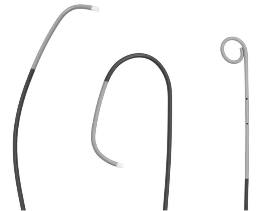 Health Management and Leadership Portal | Angiography catheter Alvision ...
