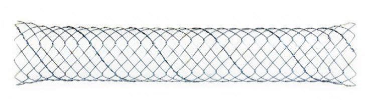 Health Management and Leadership Portal | Tracheal stent / bronchial ...