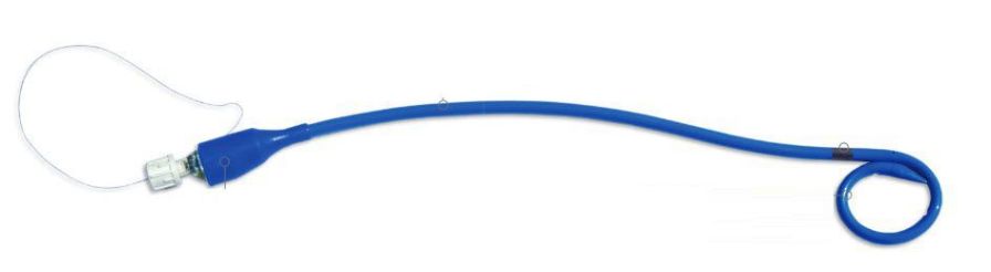 Health Management and Leadership Portal | Drainage catheter / biliary ...