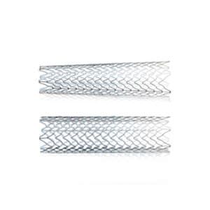 Health Management and Leadership Portal | Carotid stent / nitinol ...