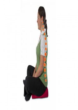 Health Management and Leadership Portal | Posture Pad Adult ...