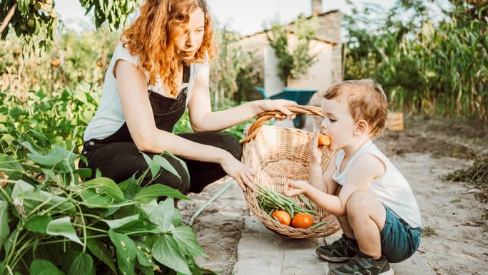 How to keep your family healthy and save the planet