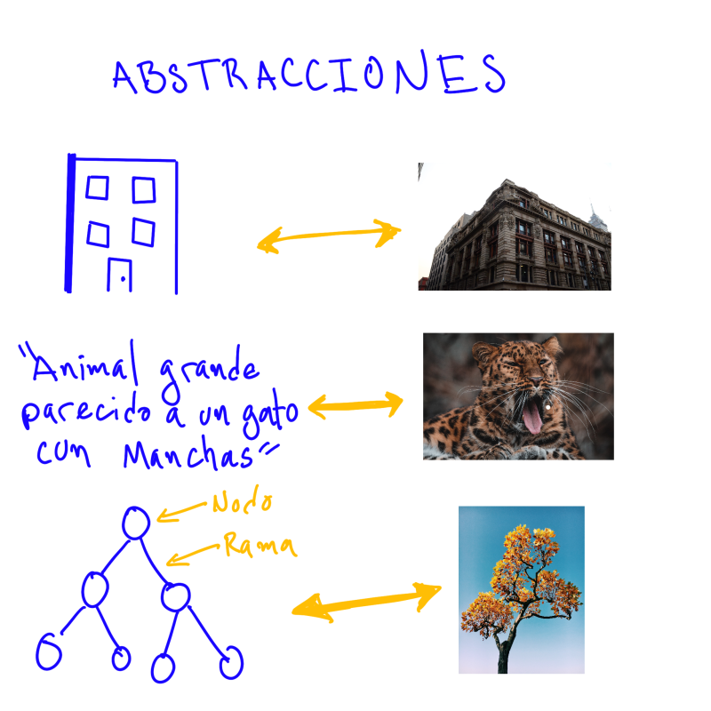 Ejemplos de Abstracción en Programación: Simplifica tu código con claridad y eficiencia.