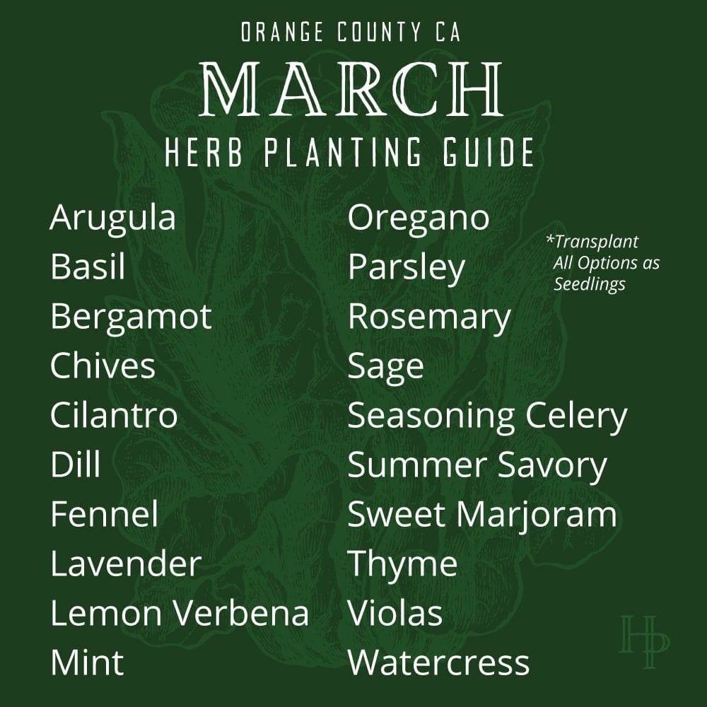 Orange County March Planting Guide - Heirloom Potager