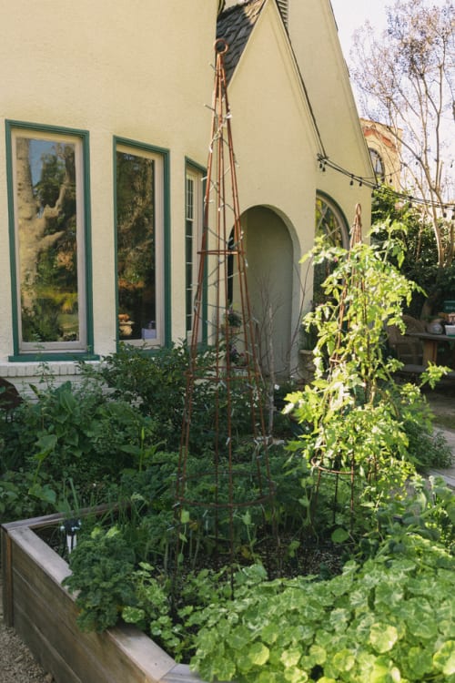 Garden Trellis Archives - Heirloom Potager