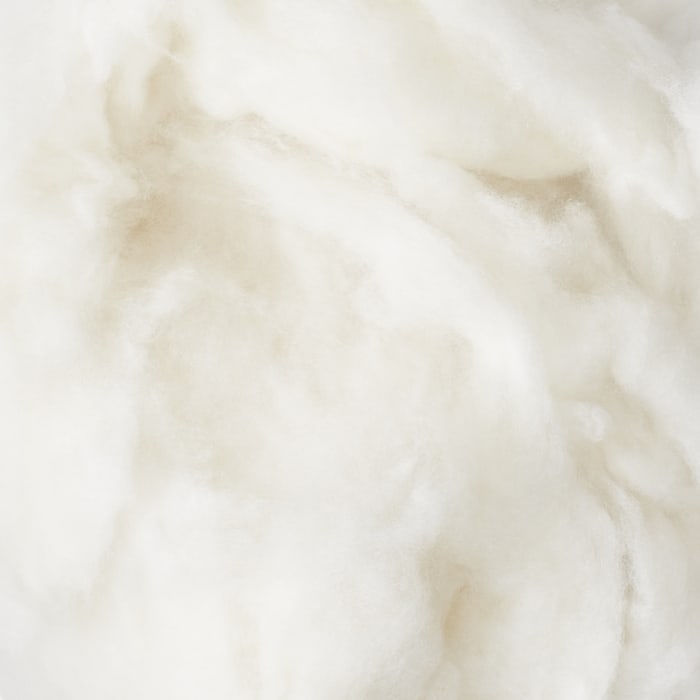 Natural & Organic Mattress Materials Explained - Birch