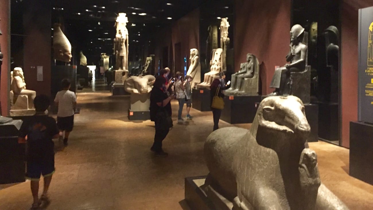 10 Best Museums in Turin - Hellotickets