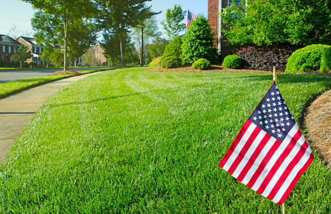 8 Patriotic Landscaping Ideas - Helms Bakersfield