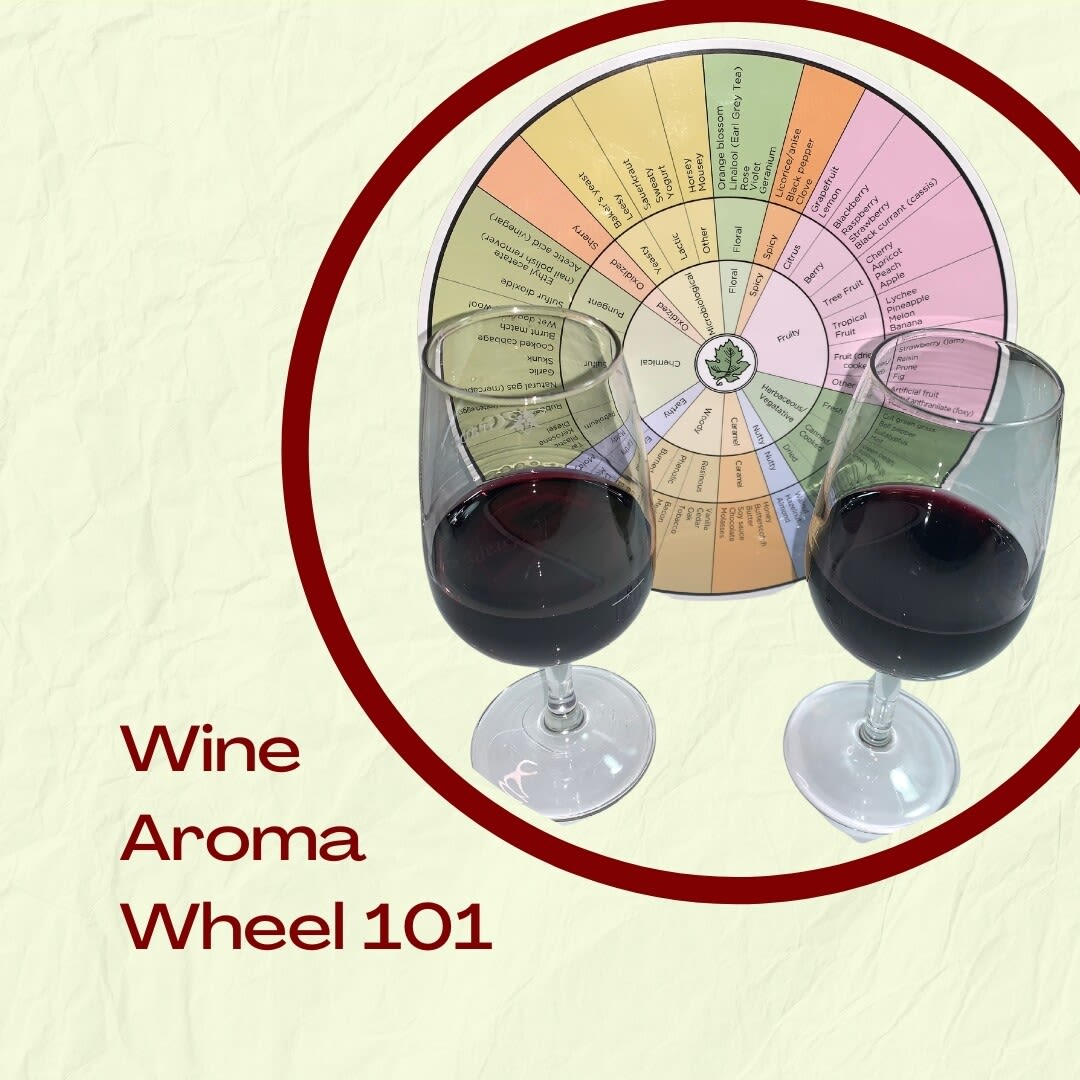 Wine Aroma Wheel Beginner Online Course | The Aroma Wheel Store