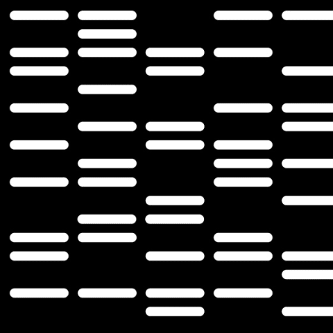 PerfArt - Browse Perforated Metal Patterns for Stainless Steel Panels