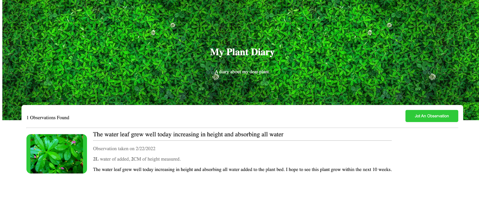 Leveraging Backend As A Service: Building A Plant Diary With Supabase ... Leveraging Backend As A Service: Building A Plant Diary With Supabase ...