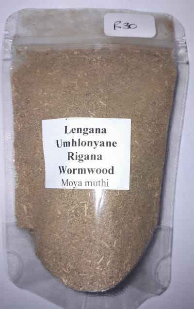 Lengana / Umhlonyane / Rigana - Herbs4you.co.za