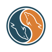 How to Create a XAMPP MySQL Database? 6 Easy Steps