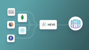 Is MongoDB Open Source Database? | 2 Versions Simplified - Learn | Hevo