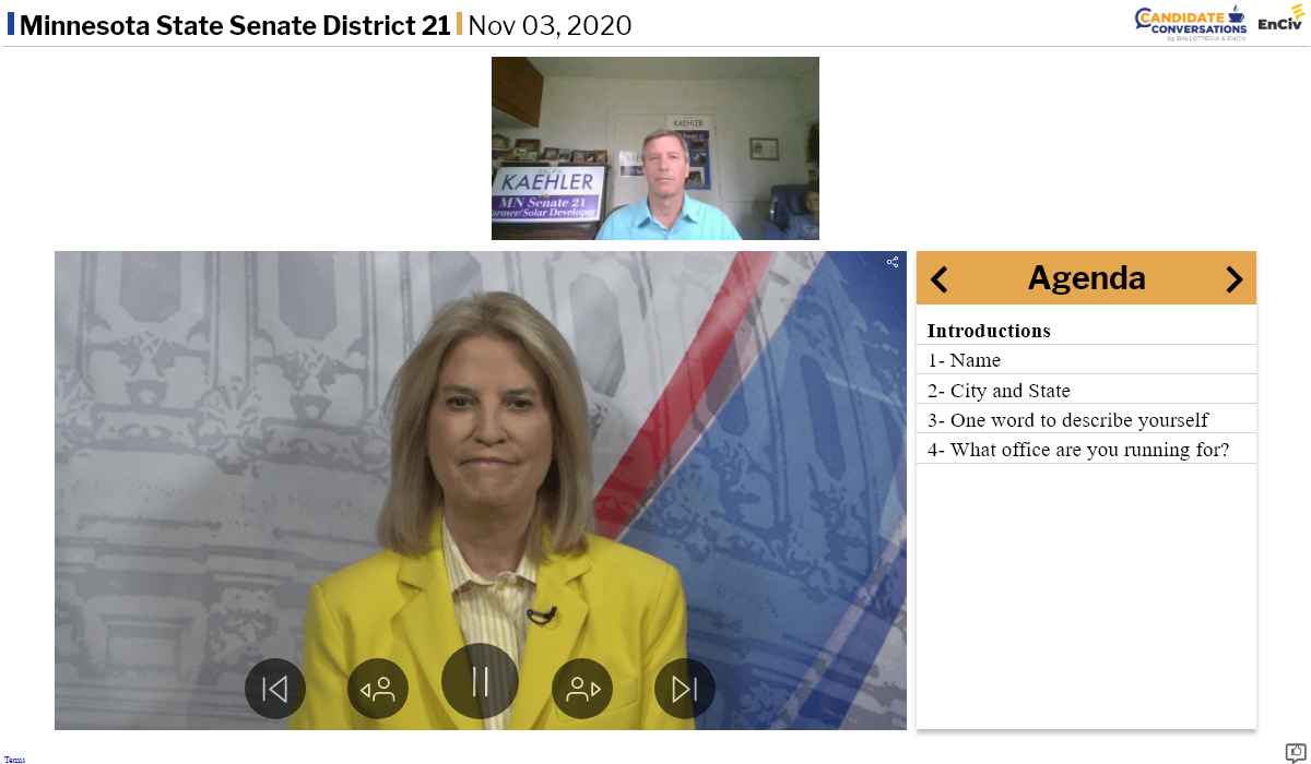 Minnesota State Senate District 21