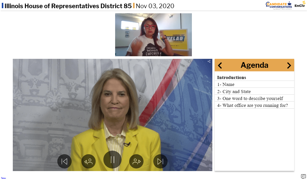 Illinois House of Representatives District 85