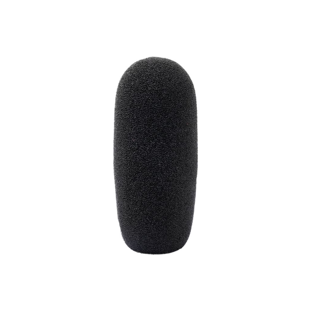 Raytalk ASP-07 Hygienic Foam Boom Mic Cover