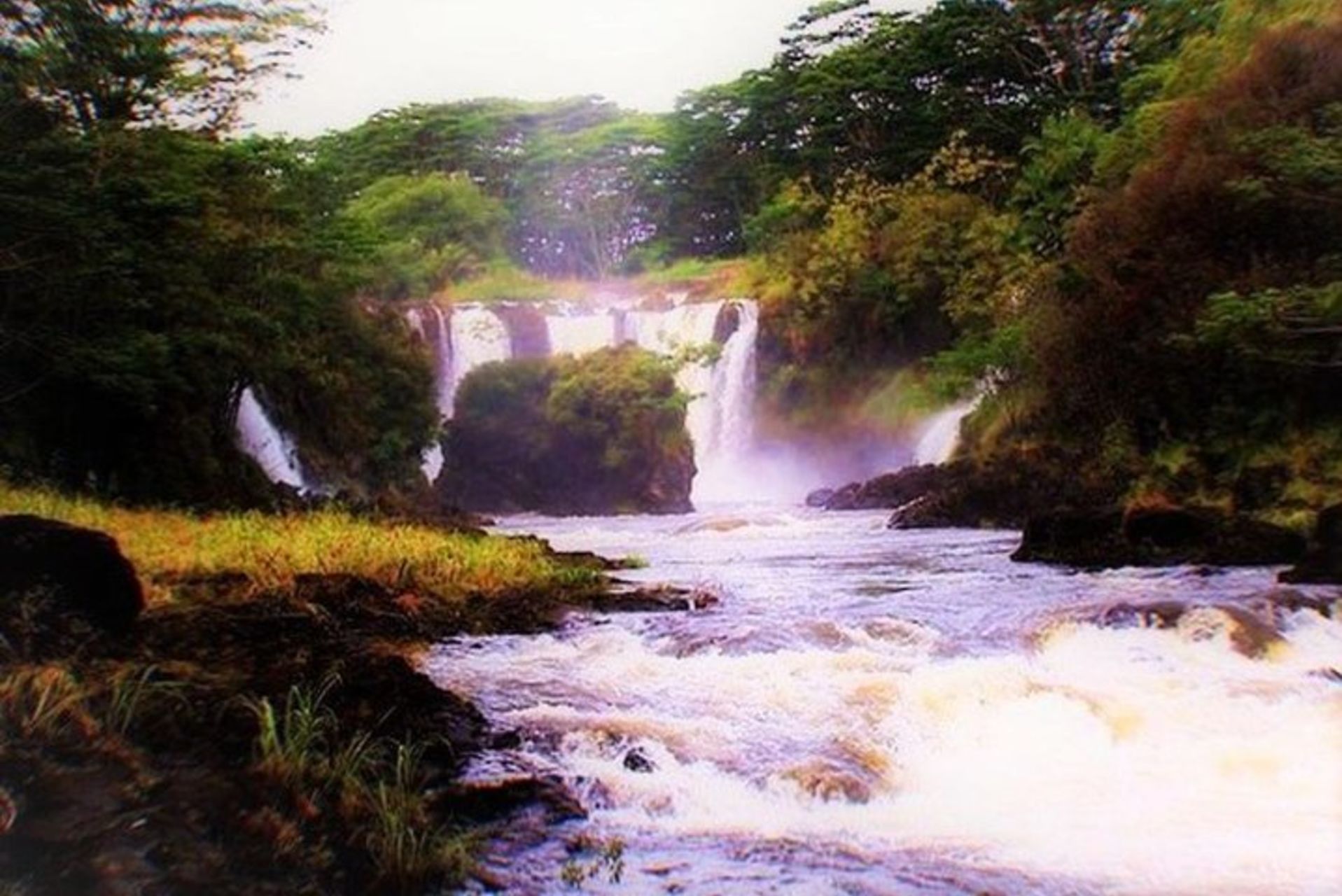 Hilo Culture, Legends, & More Day Tour (Hawaii)-New Way Horizon Travel