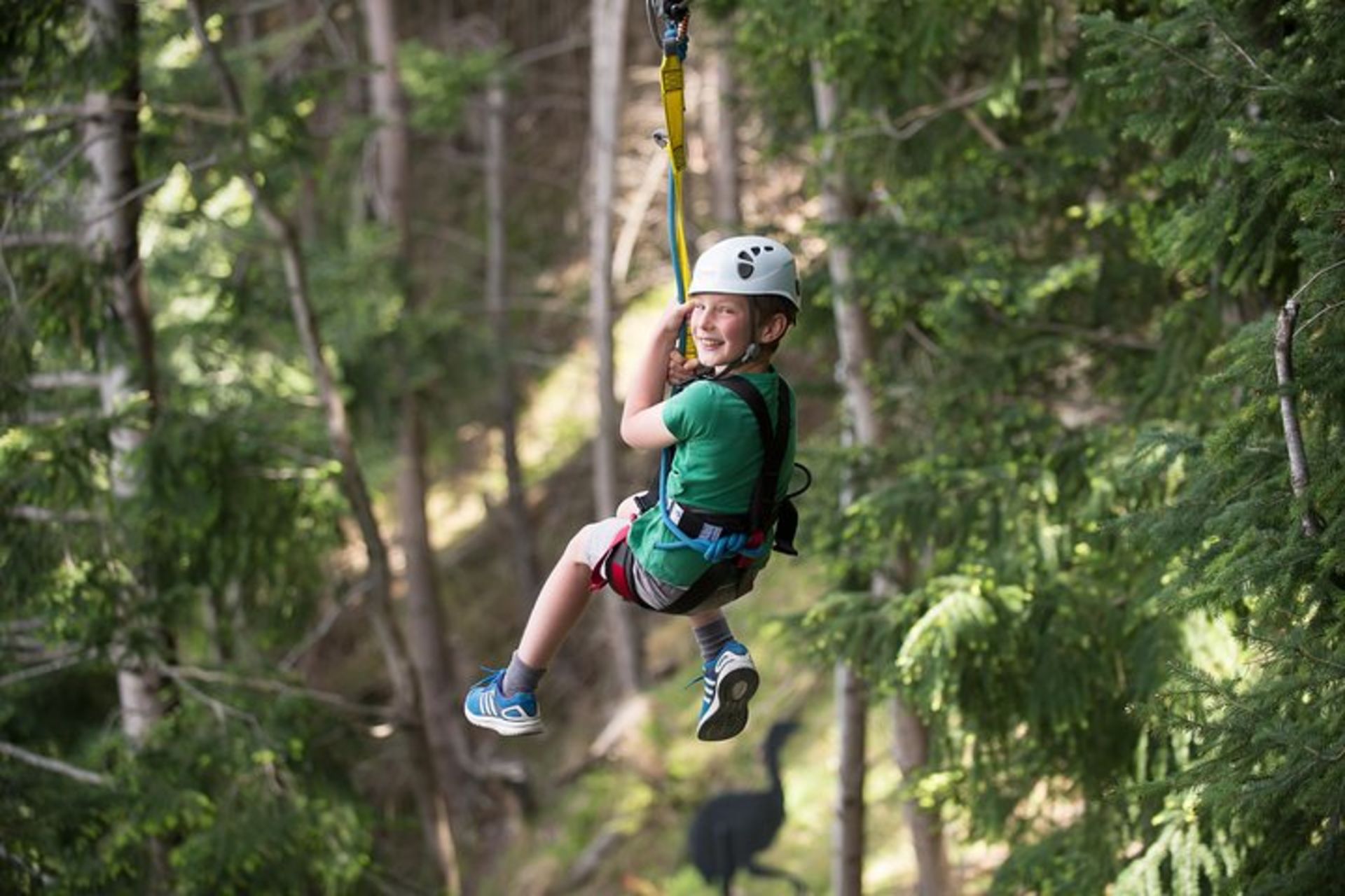 Small-Group Zipline Adventure in Queenstown-Ziptrek Ecotours