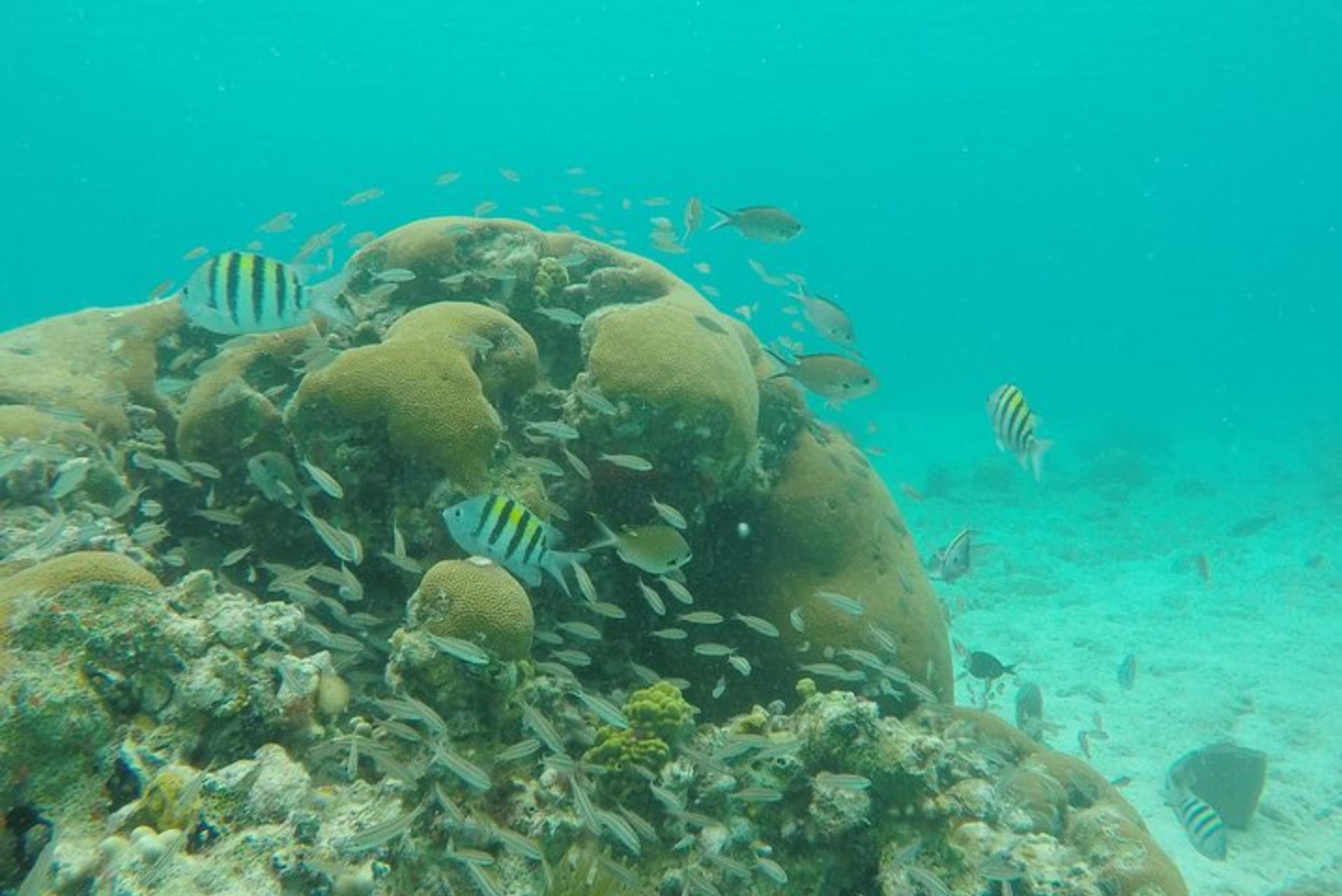 Henley Cay Adventure Tour in St John-Virgin Islands Ecotours