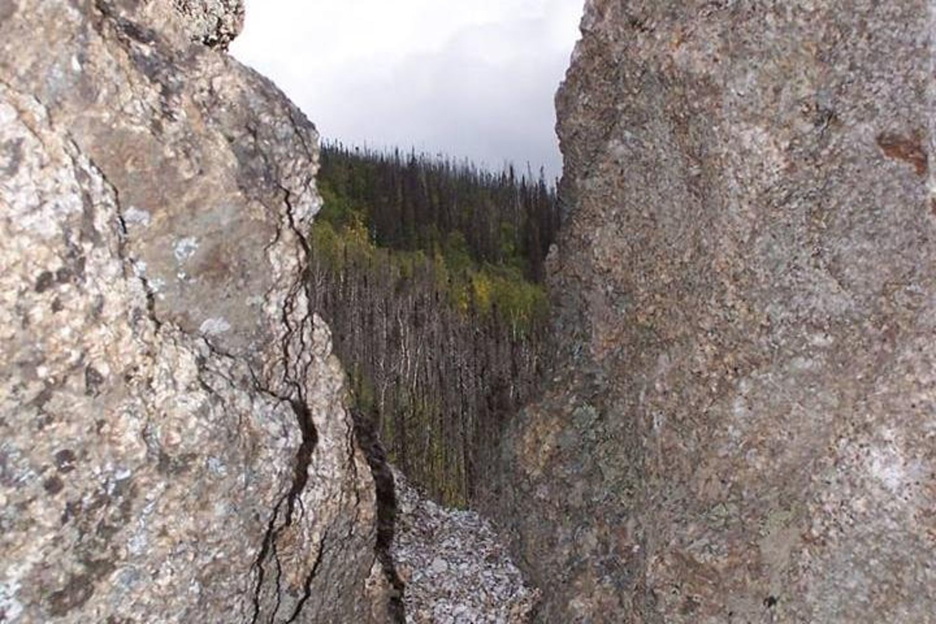 Hike into the Wilderness at Wickersham Dome-Alaska-Wildlife-Guide - Day ...