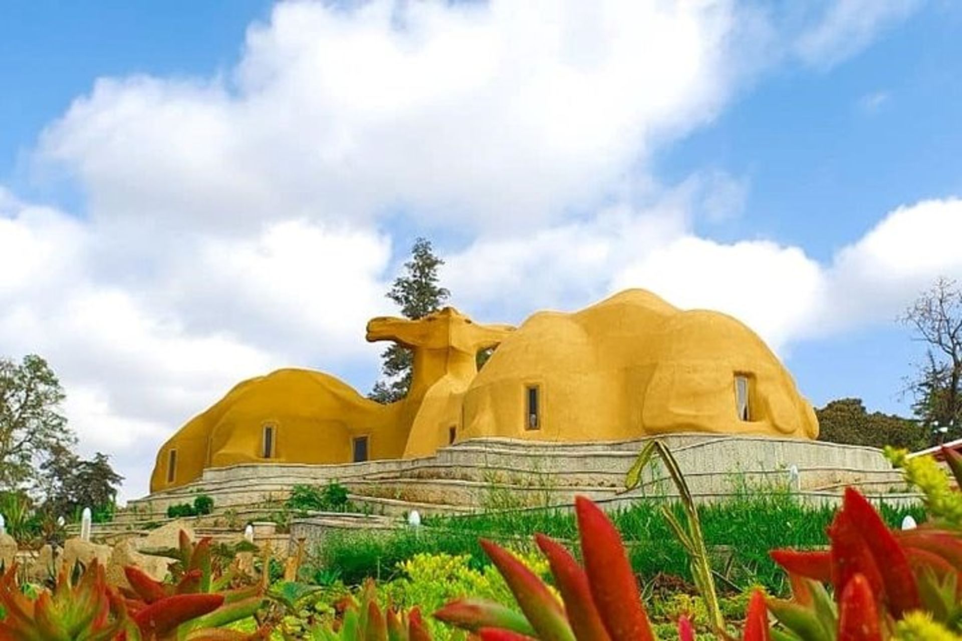 Full Day Unity Park combined with Addis Ababa City Tour-Dil Tour & Travel