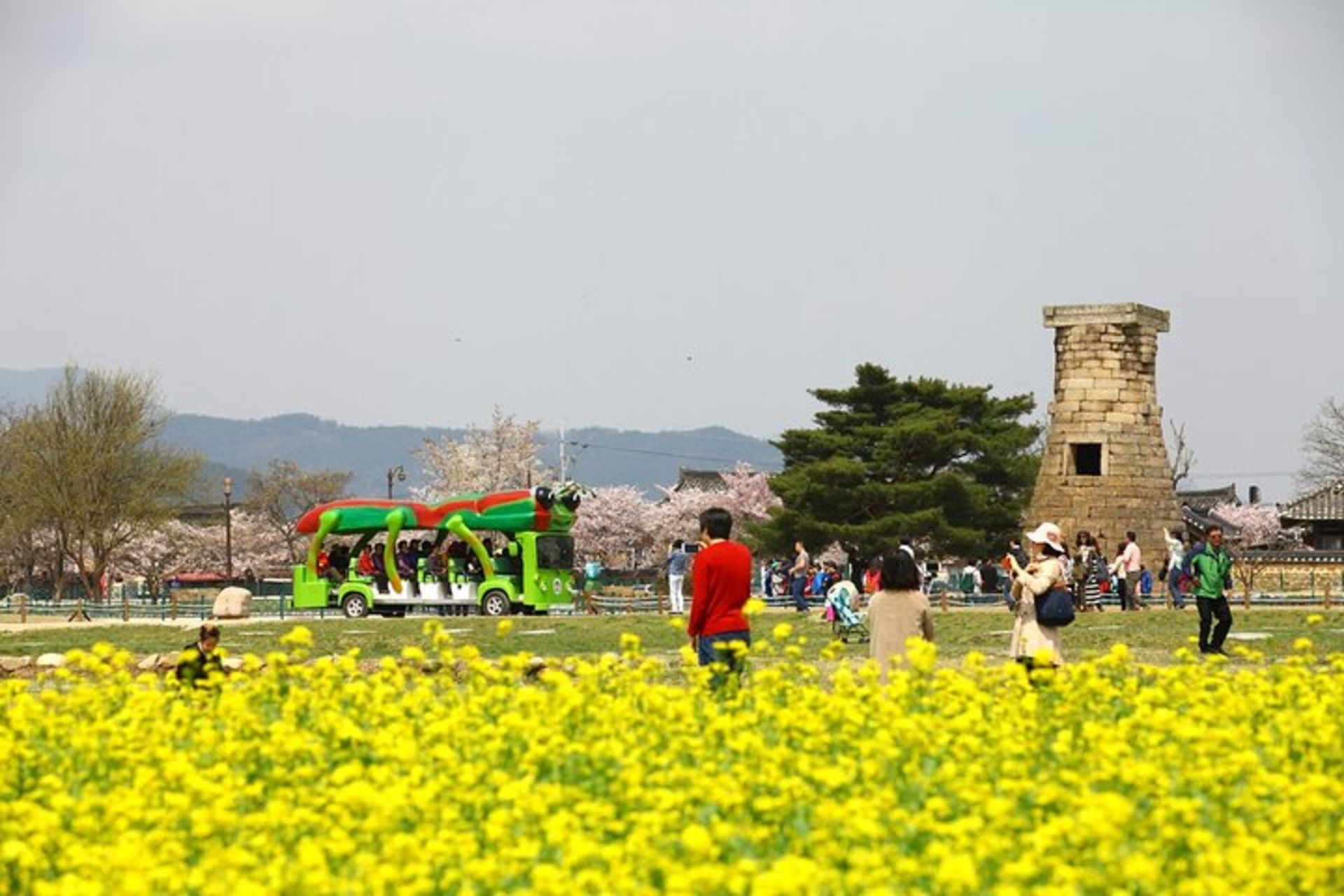 2-Day Rail Tour to Gyeongju and Busan from Seoul-Travel in South Korea with the top leading ...