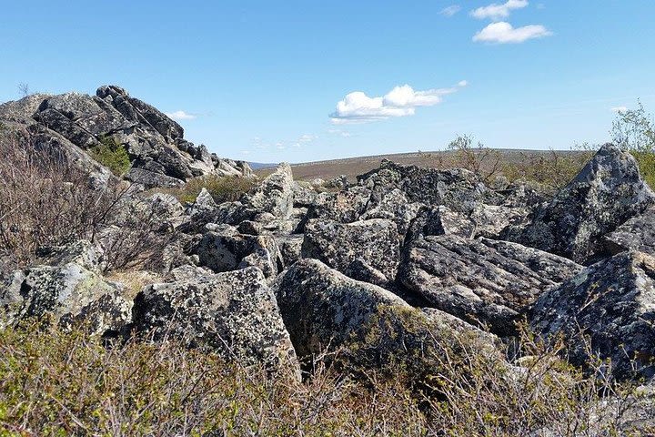 Hike into the Wilderness at Wickersham Dome-Alaska-Wildlife-Guide - Day ...