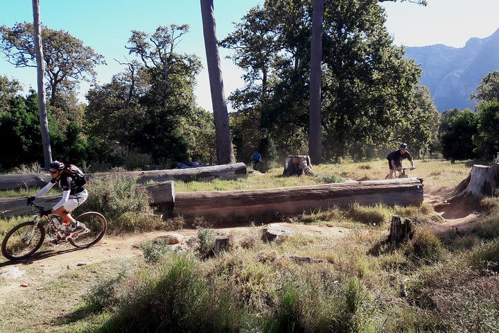 MTB Table Mountain - Constantia morning tour-Table Mountain hiking tours