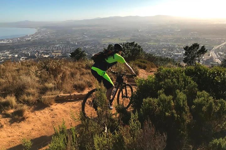 MTB Table Mountain - Constantia morning tour-Table Mountain hiking tours