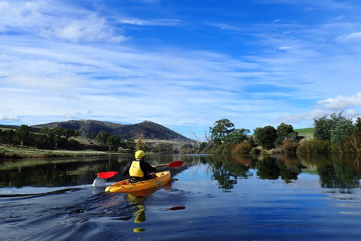 Paddle with the Platypus Twilight Kayak Adventure-Tassie Bound