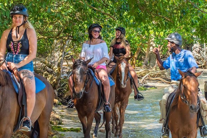 Chukka Horseback Ride & Swim with Admission Pass to Ocean Outpost ...