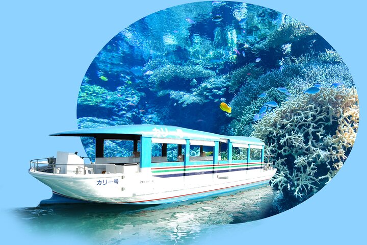 Okinawa Hip-hop Bus B Course Tour (Okinawa Churaumi Aquarium)-Jumbo ...