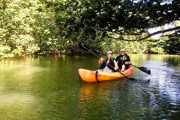 Rainforest River Kayak Self-Guided Kayak Tour-Active Oahu Tours