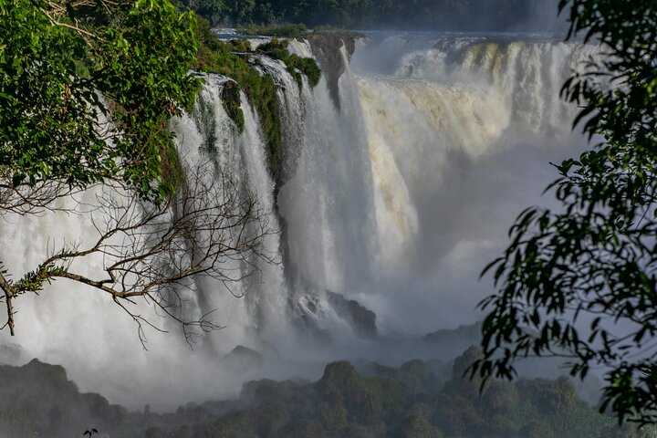 Iguassu Falls Brazilian Side & Bird Park & Macuco - Exclusive Gran ...