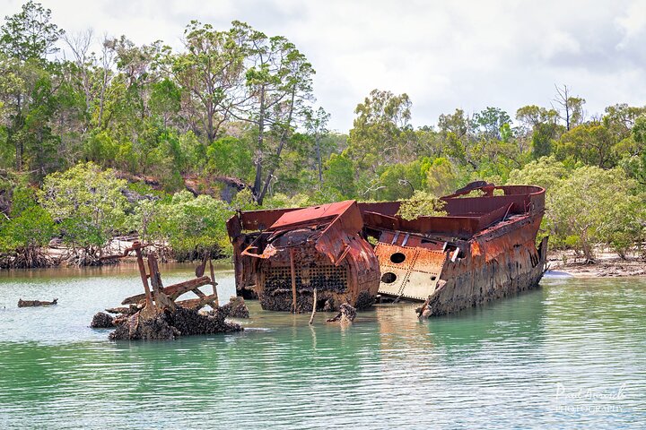 Sandy Straits Scenic & Wildlife Cruise-Boat Club Adventure Cruises