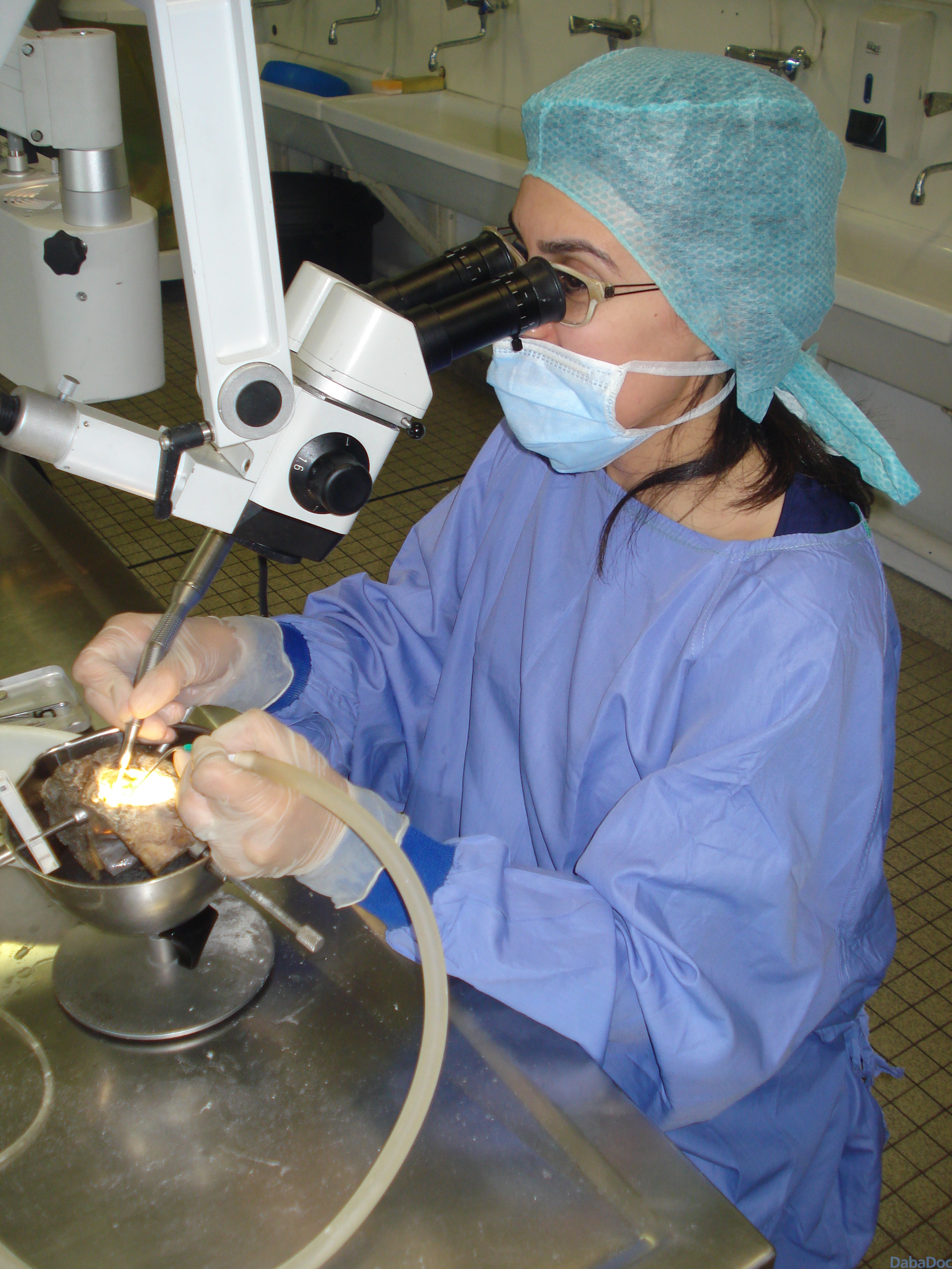 Dr Imen Ben Rejeb Ben Othman, Oto-rhino-laryngologiste (ORL) à Tunis ...