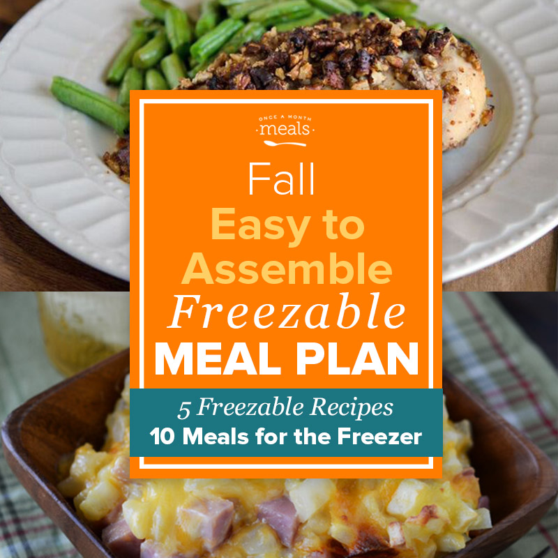 Fall Dump and Go Mini Freezer Meal Plan Vol. 1 | Once A Month Meals