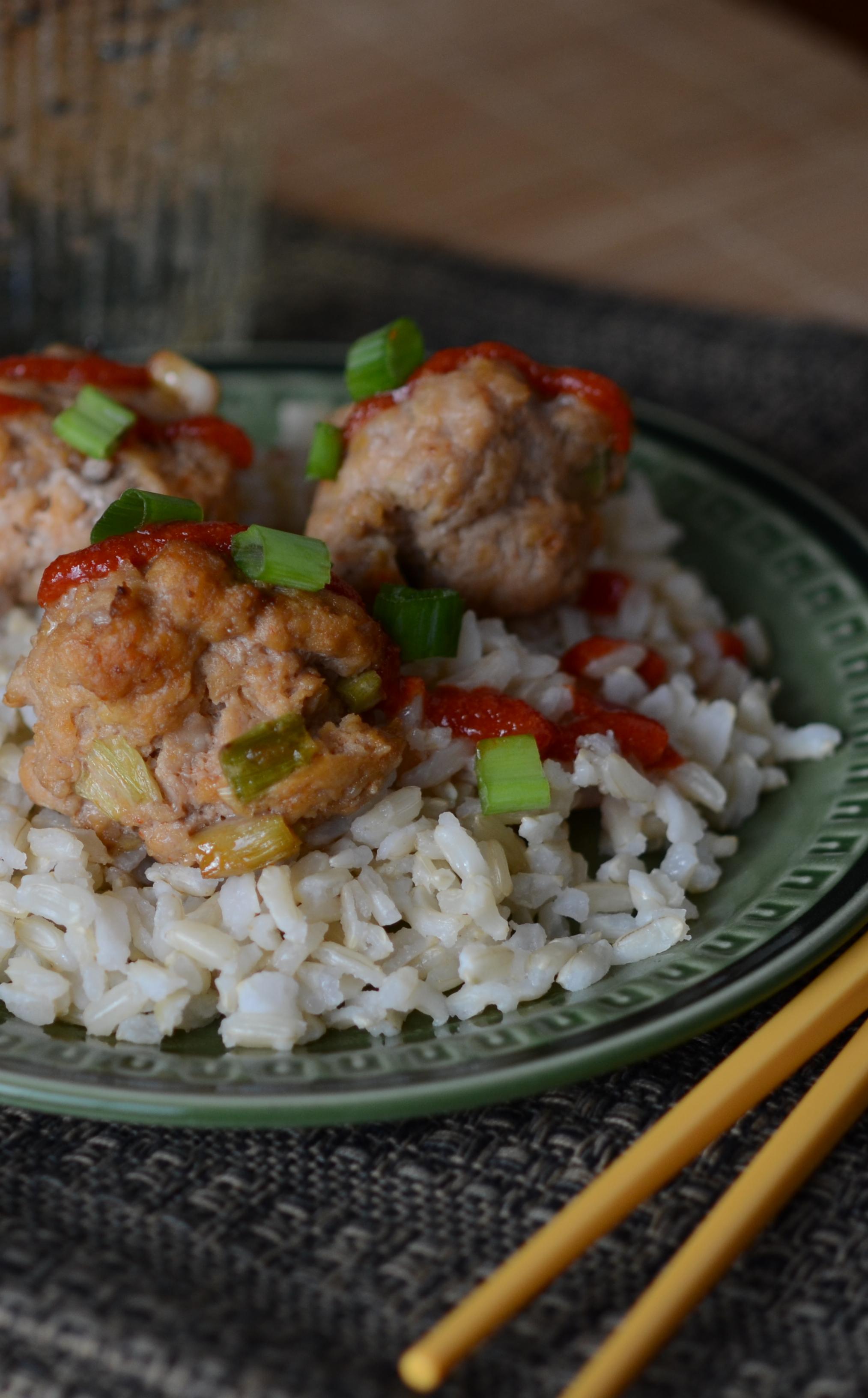 OAMM Asian Turkey Meatballs - Dump and Go Dinner | Once A Month Meals