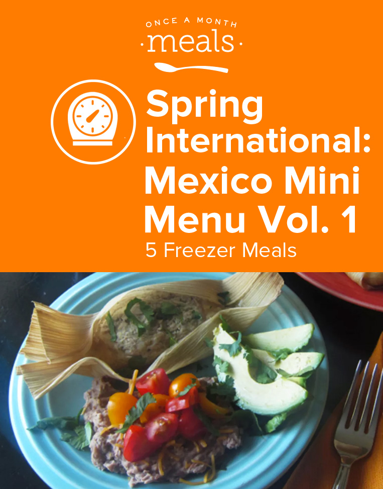 Spring International: Mexico Mini Freezer Meal Plan Vol. 1 | Once A ...