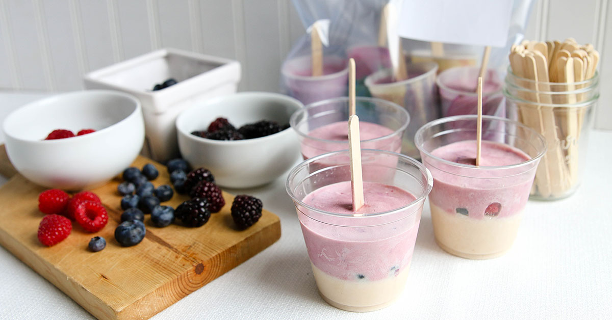 Mixed Berry Protein Pops | Once A Month Meals
